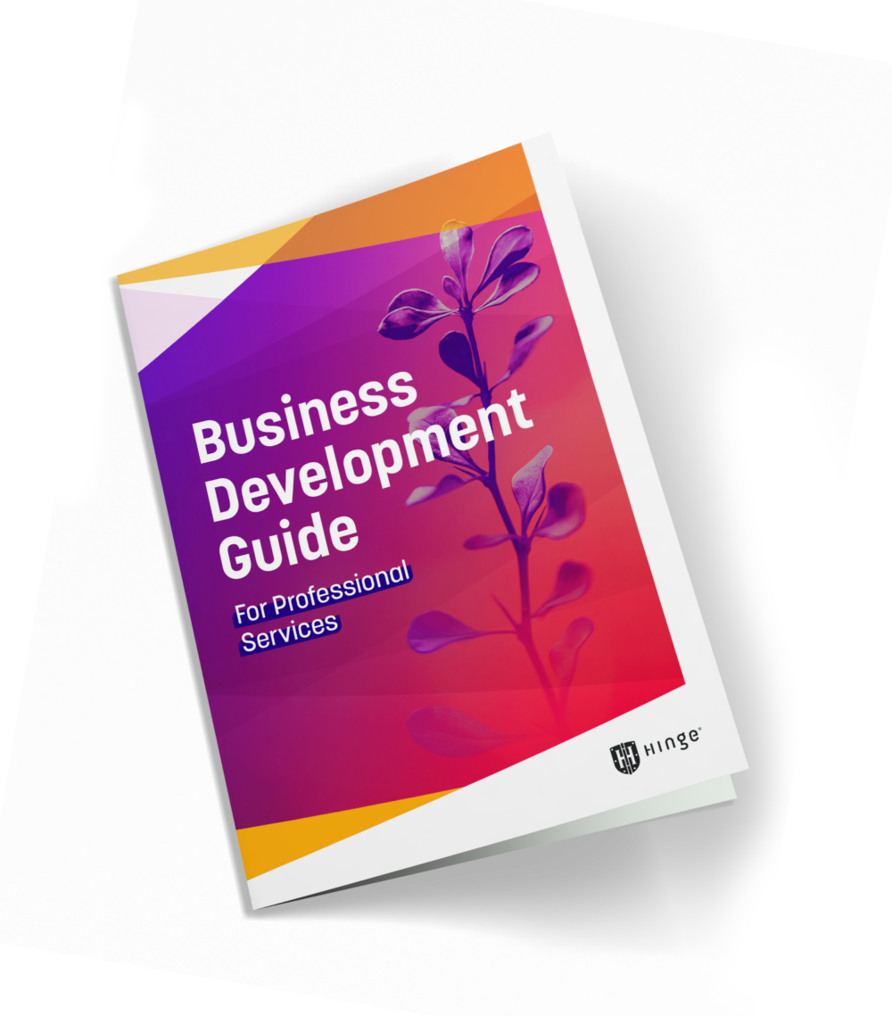 Business Development Guide Consultation - Hinge Marketing
