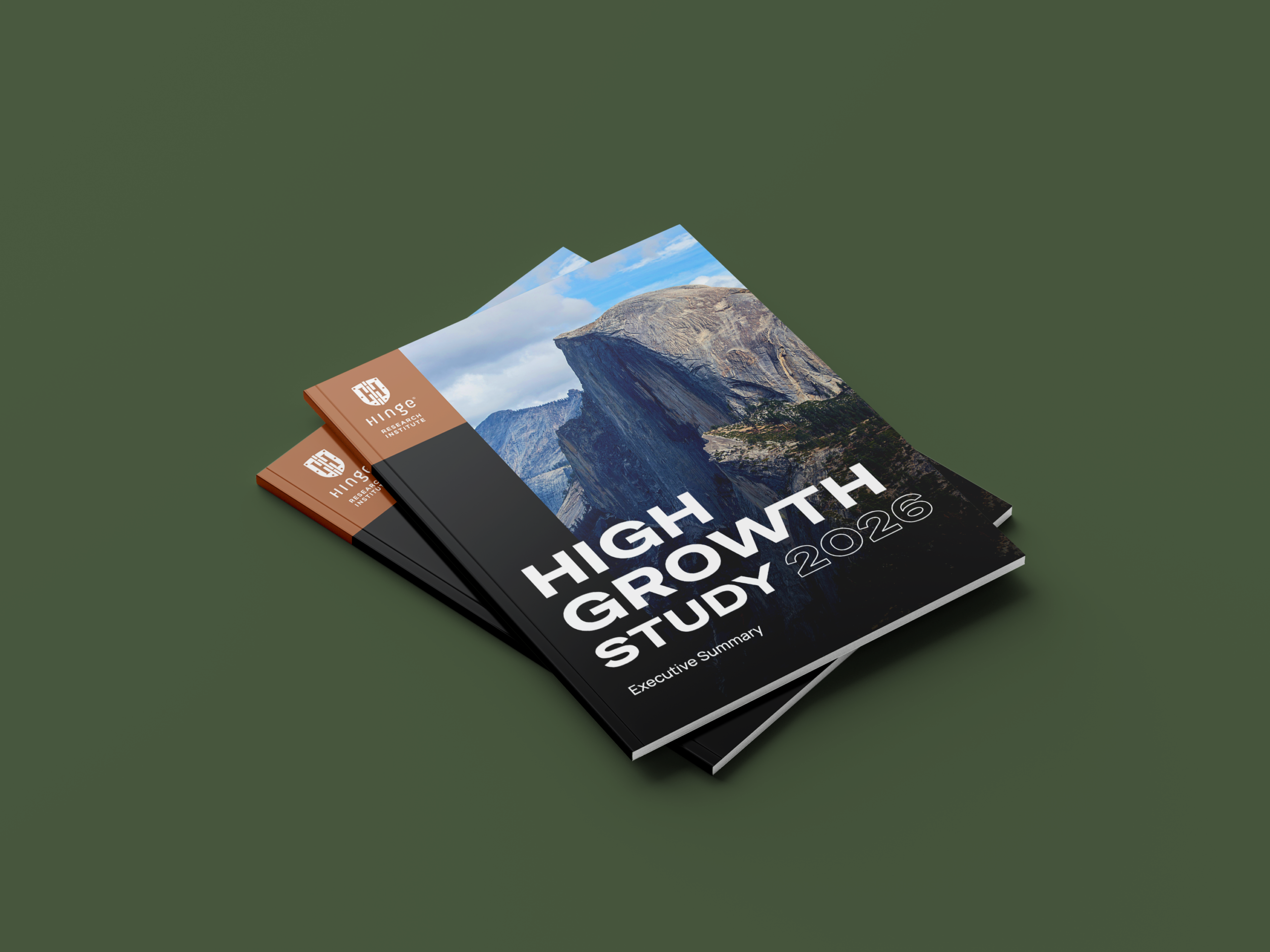 High Growth Study 2026: Executive Summary - Hinge Marketing